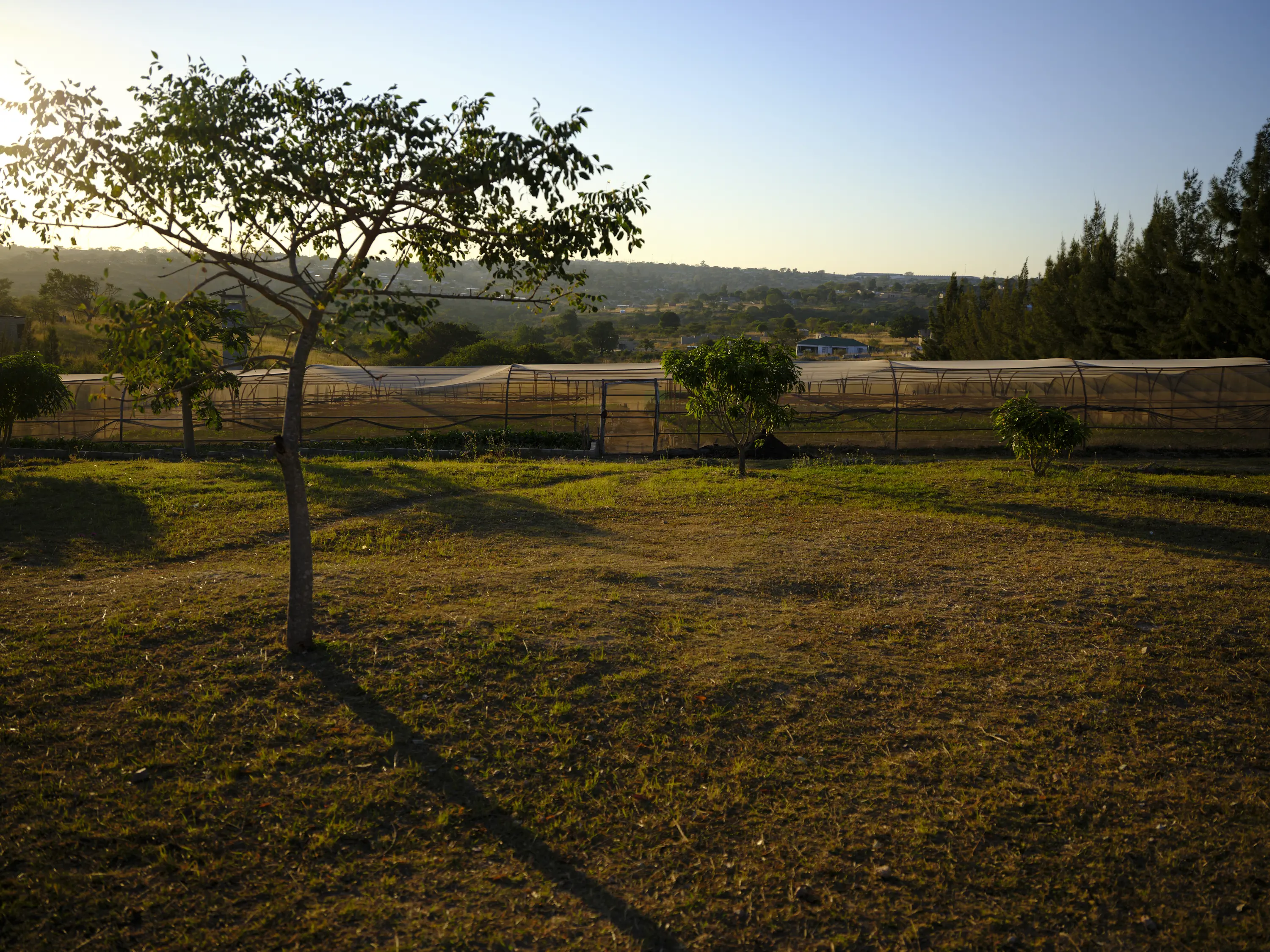 Ubuntu Mundo – Impact That Nourishes and Sustains